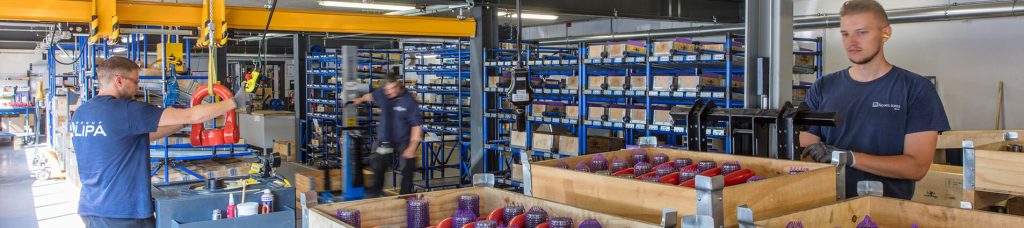 Cáncamos de elevación giratorios a medida | CODIPRO